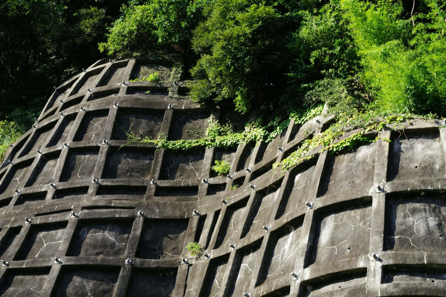 Geogrid Retaining Wall Ultimate Guide (2025): Types, Spacing & Installation